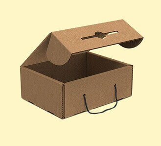 E-commerce Carry Box