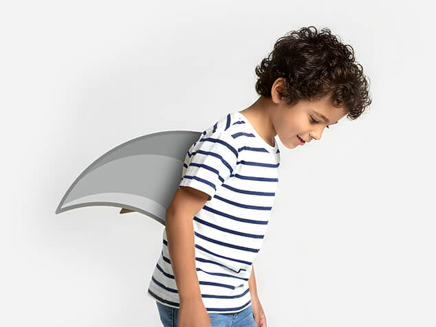 Shark Fins