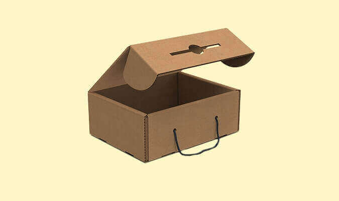 E-commerce Carry Box • UNIPAK The Shop